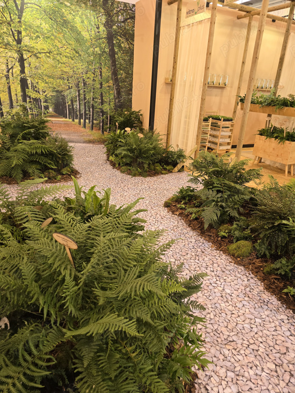 Angajam personal amenajari spații verzi • Garde Center • Radauti Suceava