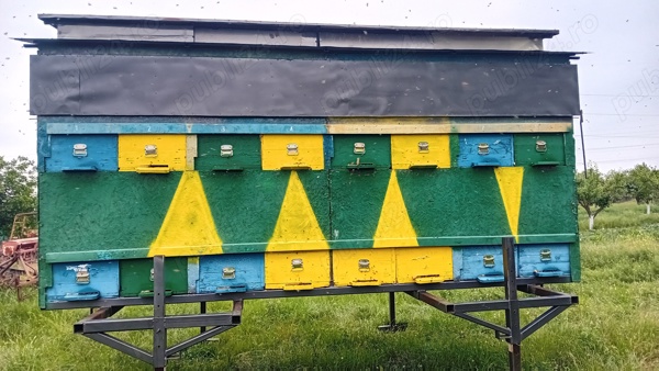 Vand pavilion apicol pentru 32 de stupi pe corp intreg in pat cald ...