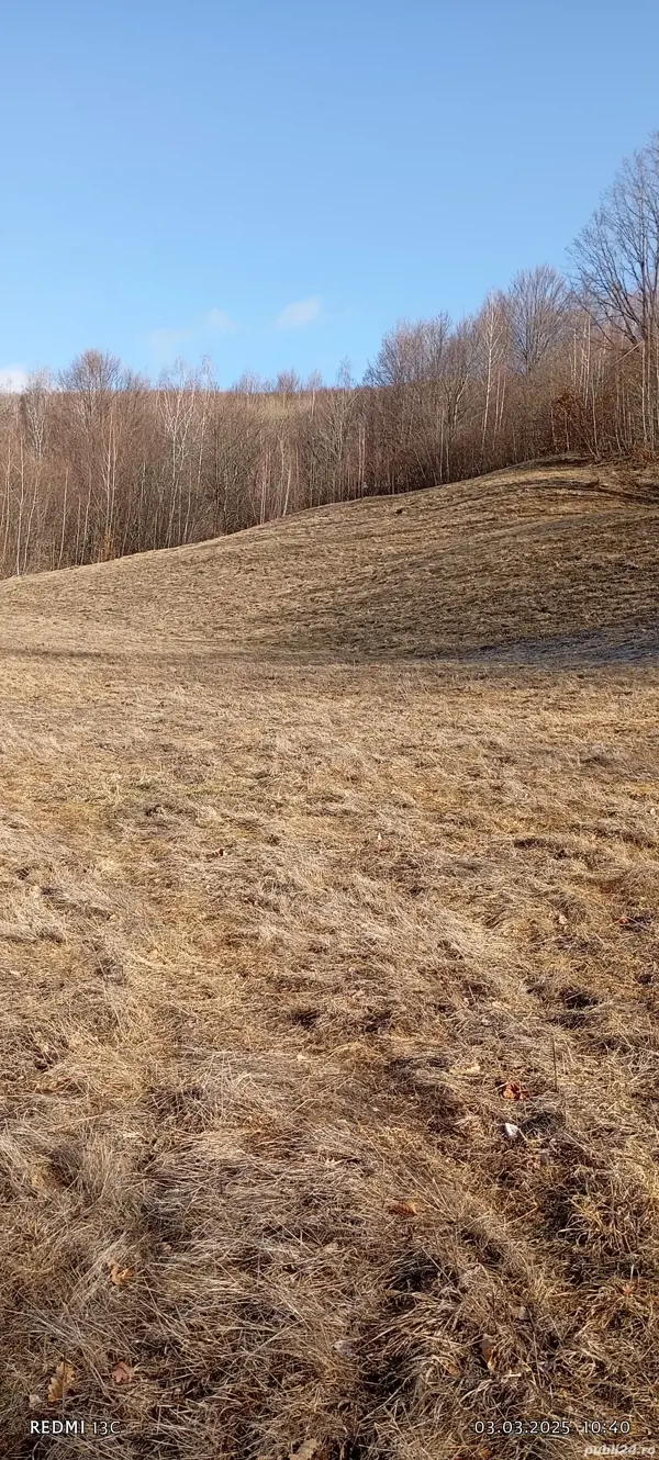 Vand teren extravilan • Bulz, Bihor