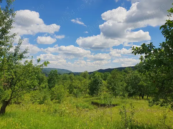 Vand teren intravilan 1657 mp • Comarnic, Prahova