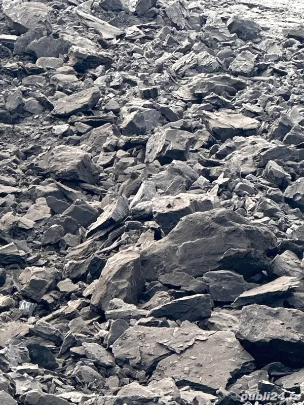 Carbuni de foc Craiova - Casa si gradina