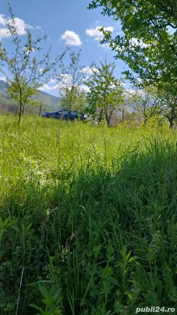 Vand teren intravilan • Coroiesti Hunedoara