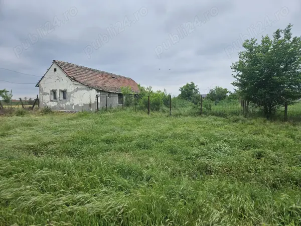 Vand casa la tara 3 camere cam. 2212 mp • Lovrin Timis