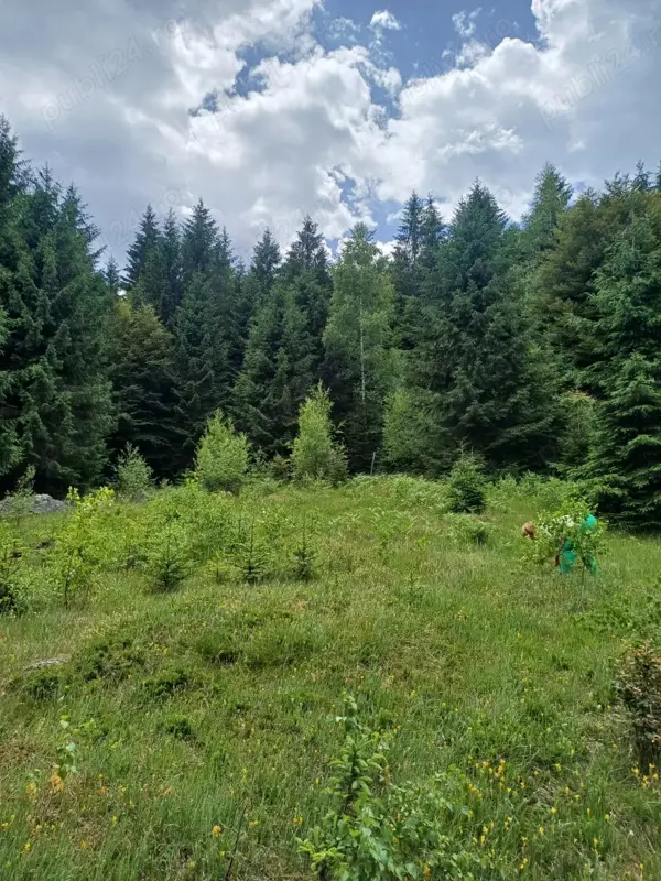 Vand teren extravilan • Hunedoara Hunedoara