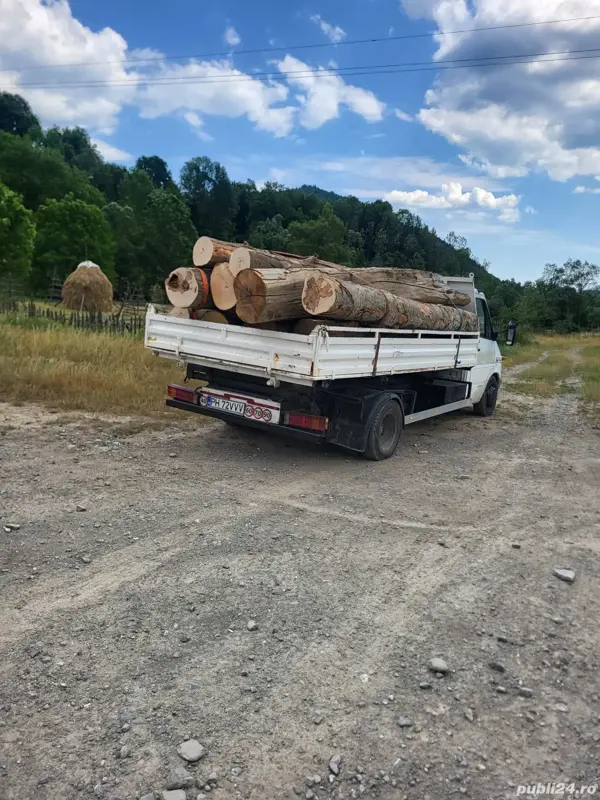 Lemne foc de fag bustean VALEA DOFTANEI - Casa si gradina