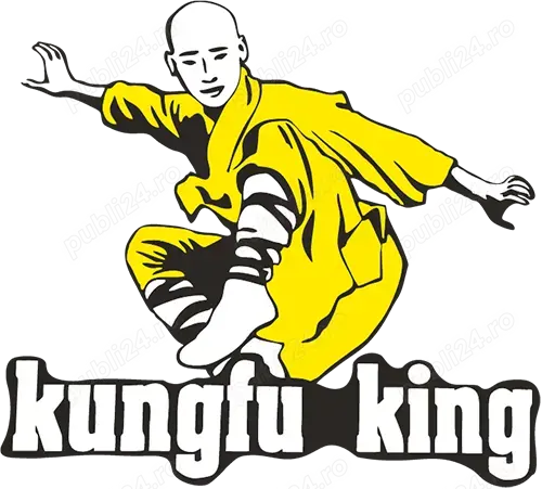 KungFu King își mărește echipa ! • KungFu King • Craiova Dolj