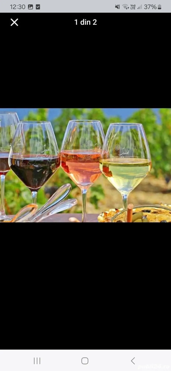 Vând struguri de vin Ploiestiori - Casa si gradina