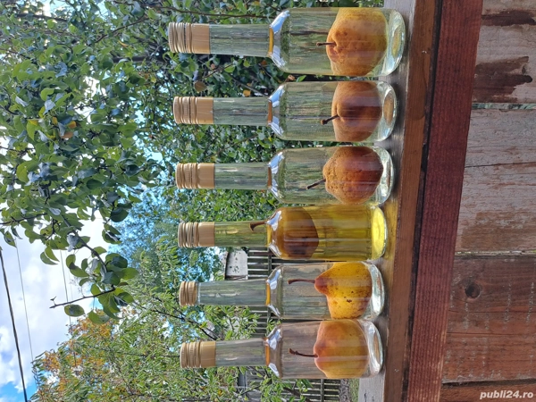 Sticlă cu pară înauntru. Giurgiu - Casa si gradina