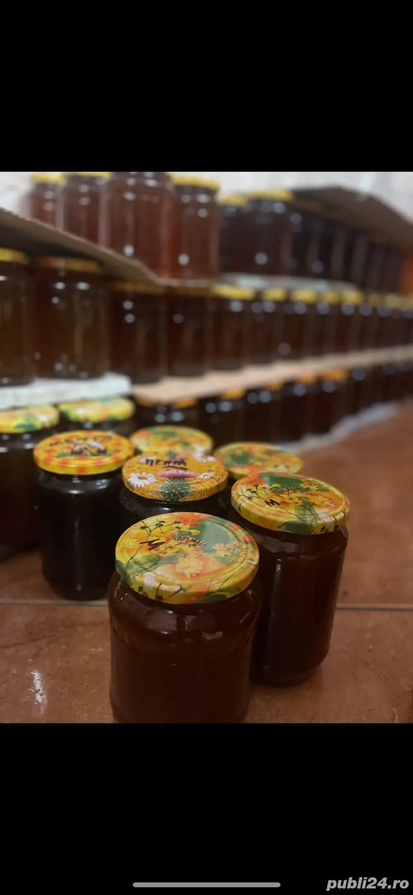 Miere din stupina proprie Timisoara - Casa si gradina