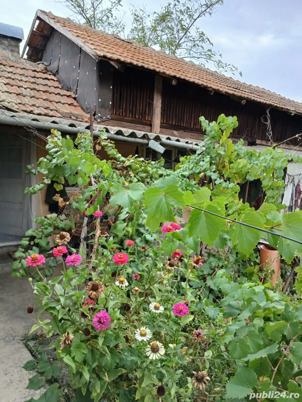 Vand casa de vacanta 4 camere cam. 79 mp • Fulga de Jos Prahova