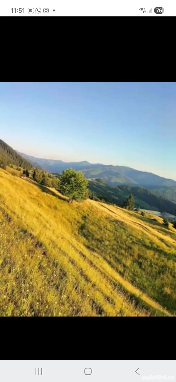 Vand teren extravilan 18000 mp • Sadova, Suceava