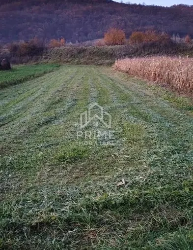 Vand teren intravilan 708 mp • Tauti, Alba