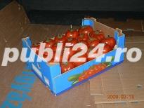 MASINI PENTRU PRODUCTIA DE CUTII - LADITE PENTRU FRUCTE-LEGUME DIN ...