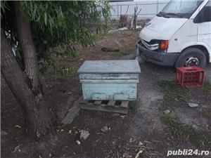 Stupi orizontali pe 20 de rame Tecuci - Casa si gradina - Publi24.ro