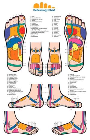 Reflexoterapie-Pitesti-Masaj-Reflexogen-Nutritionist Pitesti - Servicii ...