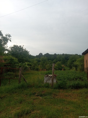 Vand teren intravilan • Zolt, Timis - Publi24