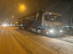 Sofer de tir in Germania (container) • Forstmann Transporte GmbH ...