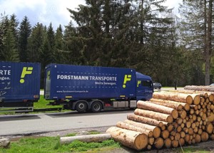 Sofer de tir in Germania (container) • Forstmann Transporte GmbH ...