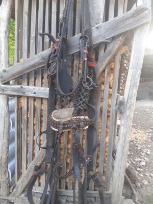 Ham de cai Valea Larga - Animale