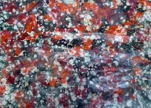 Pictor Nicolae Drăgușin (1936-1999) Tablou Flori - Câmp cu maci Sector ...