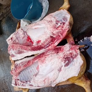 Vand carcasa de porc Petroman - Animale