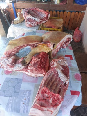 Carcasa de porc Greci (Osica de Sus) - Animale