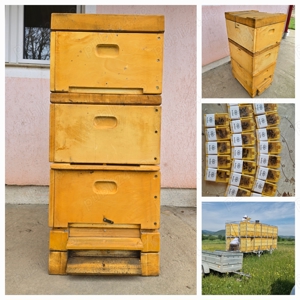 Vând stupină din 2022 Caransebes - Casa si gradina