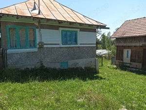 De vânzare! Casa cu 1000 de m ,3 camere ,bucătărie, hol+dependințe,com ...