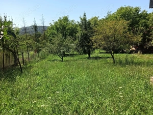 De vânzare! Casa cu 1000 de m ,3 camere ,bucătărie, hol+dependințe,com ...