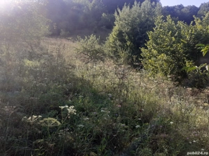 Vand teren pentru casa 6470 mp front stradal 20 • Nadrag, Timis