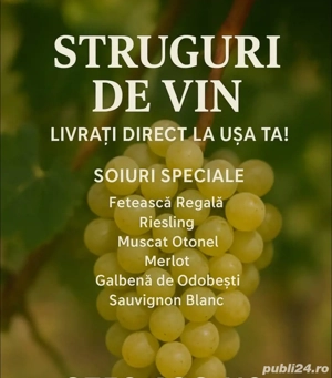 Vand struguri de vin Urlati - Casa si gradina