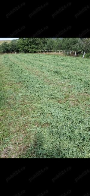 Vand baloti lucerna ! Lugoj - Casa si gradina