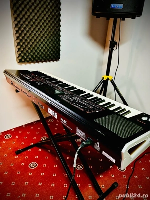 Vand korg PA4x-76 clape Pitesti - Timp liber si sport