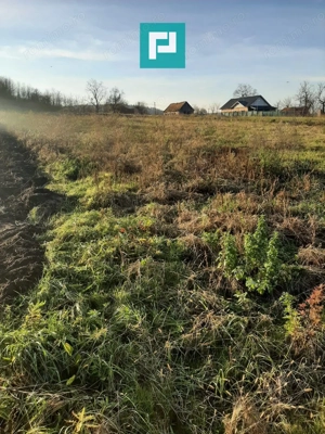 Vand teren agricol 1260 mp • Ususau, Arad - Publi24