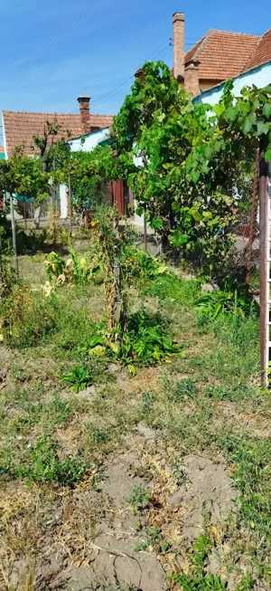Casa de vanzare in Sebes Sebes
