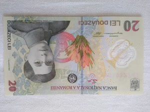 Bancnote de 20 Lei Brasov - Timp liber si sport